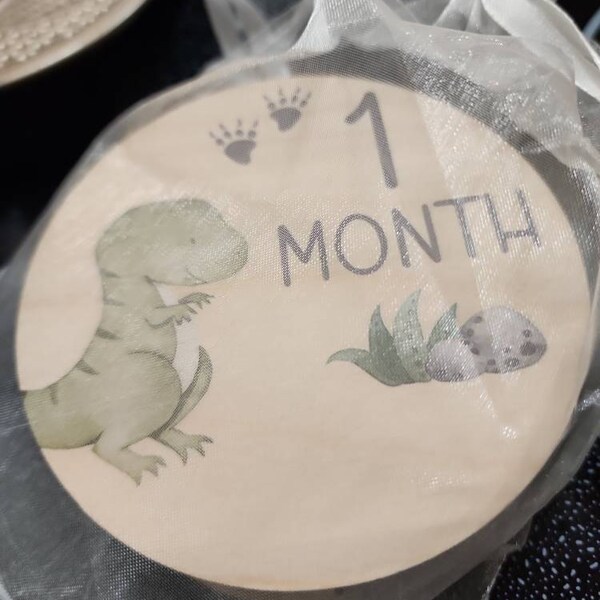 Dinosaur Milestone Cards, Baby Milestone Dinosaur Discs Marker, Wood ...