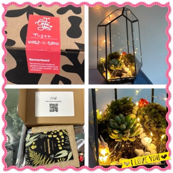 Bioactive Terrarium Kit With Live Moss With Terrarium Container ...