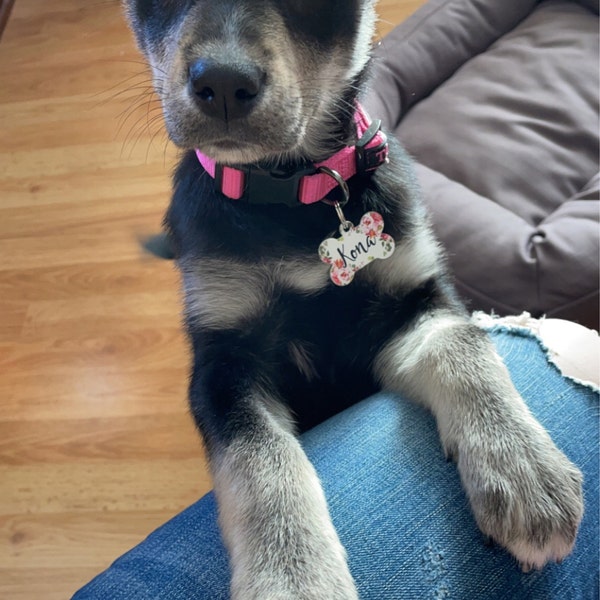 Pretty Dog Tag for Dog, Pink Flowers Dog Tag, Dog Name Tag, Dog Tag ...