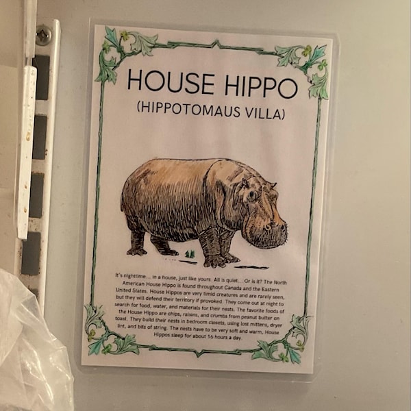 Good Luck Pocket Hippo With Poem -mini Menagerie: Realistic Hippo ...
