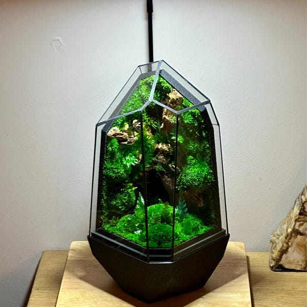 Cryomoss Live Moss Terrarium: the Vertex II (S) - Elegant & Modular ...