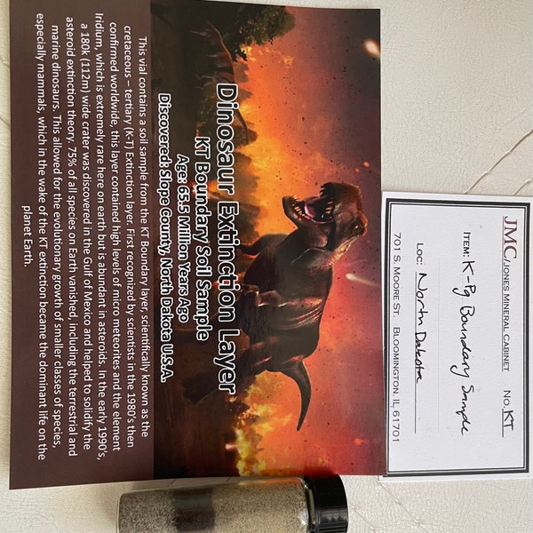 Authentic K-T Boundary ( (k–pg) Boundary) Sediment Layers Marking the Extinction Event Causing ...