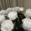 Pack of 16 Long-stem White Preserved Roses | Valentines Day Gift ...
