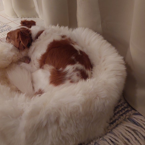 Real Sheepskin Dog Bed, Cat Bed, Natural Cozy Soft Bed, Premium Quality ...