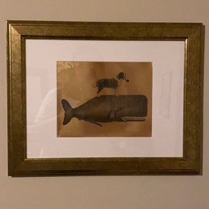 Pug Riding Triceratops Dinosaur Vintage Collage Print Tea | Etsy