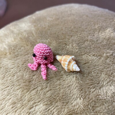 Tiny, Baby Horse Conch Shells in Tiny Bottle - Etsy