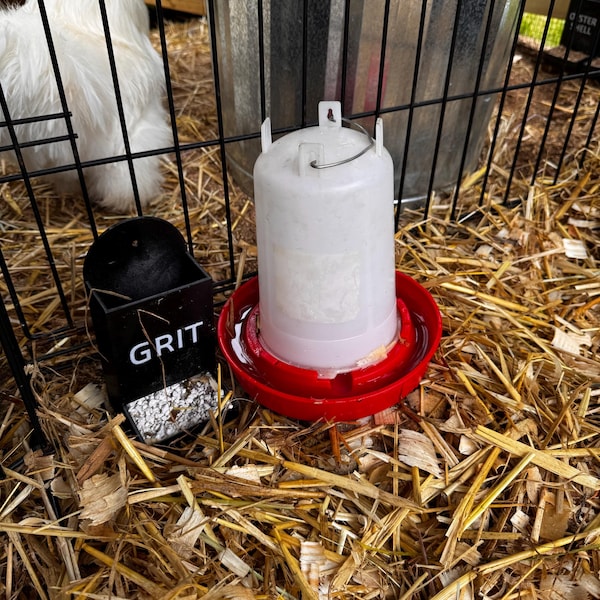 Chicken Oyster Shell/grit Feeder – 3D Printed, Mess-free Design for ...