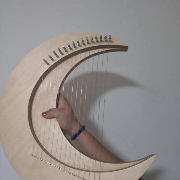 Hand-carved Kenari Seed Shaker |sculptural Wood Handle Nut Shell Rattle ...