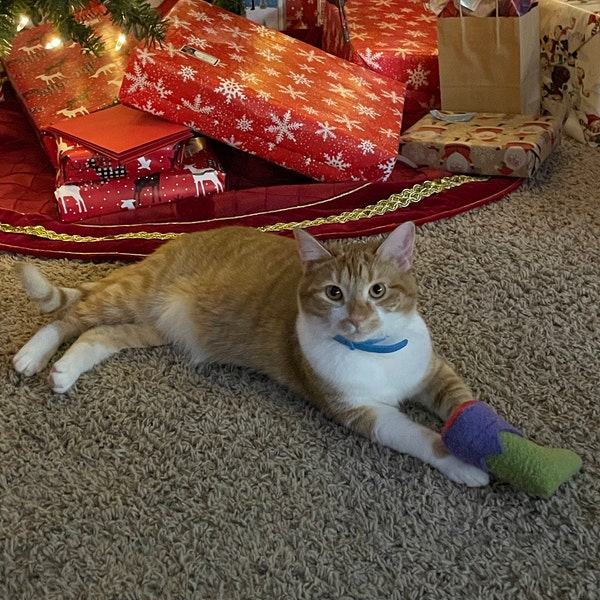 Severed Leg Catnip Toy / Zebra Leg / Cat Toy / Pet Gift / Cat Lover ...