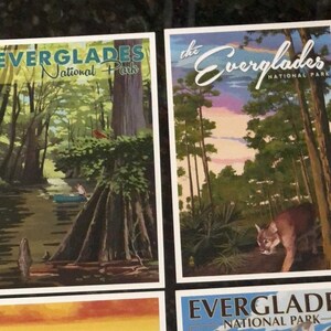 Postcards Everglades National Park Set Florida 12 Different - Etsy