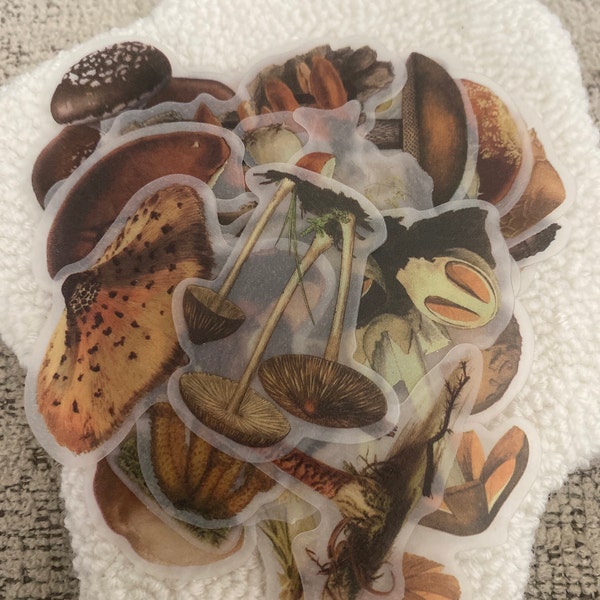 Mushroom Stickers - Set of 30 - Nature Stickers, Junk Journal Paper ...