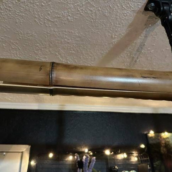 2" Green Bamboo 2pk Fresh Cut 100% Natural Grown Bamboo in USA Bamboo ...