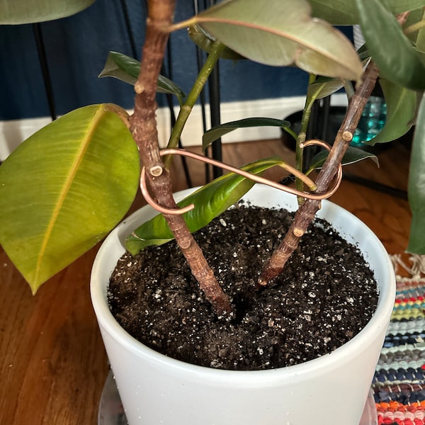 Plant Support Copper Hook, Stem Holder for Leaning Plants, Indoor ...