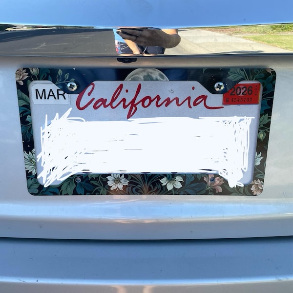 Pink Driver is Feral Front License Plate, Funny Gen Z Vanity Plate ...