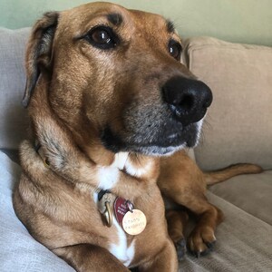 Frenemies Dog Tag Set LARGE Dog Tags Keychains Unique | Etsy