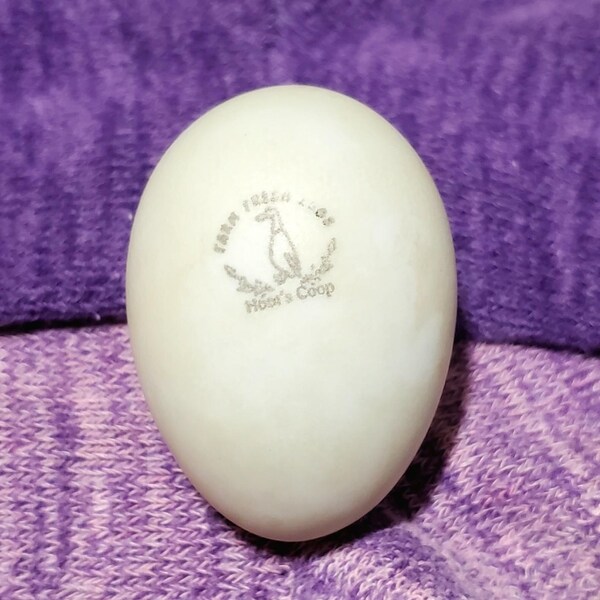 Mini Egg Stamp | Homesteading | Farm Stamp | Egg Marking | Egg Stamper ...