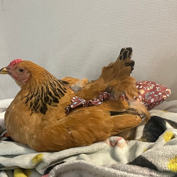 Chicken Diapers Large- Perfect Chicken Diaper for Large Hens or Medium ...