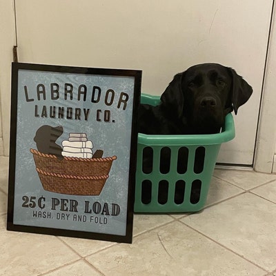 Labrador Retriever Laundry Wall Decor, Black Lab Laundry Art Print, Dog ...