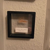 Rat Christ Ooak Cursed Crucifix Sculpture - Etsy Canada