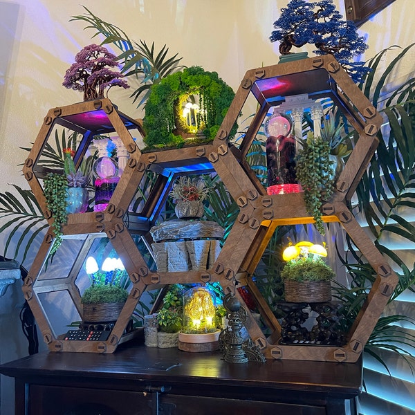 Hexagon Shelves, Honeycomb Plant Shelf, Wall Shelf (5pcs SET ...