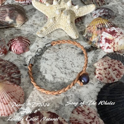 Spiny Jewel Box Sea Shells, Jewel Box Shells, Sanibel Sea Shells ...