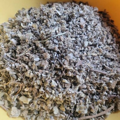 Osha Root Whole Osha Root Bear Root Chuchupate Root Colorado Cough Root ...