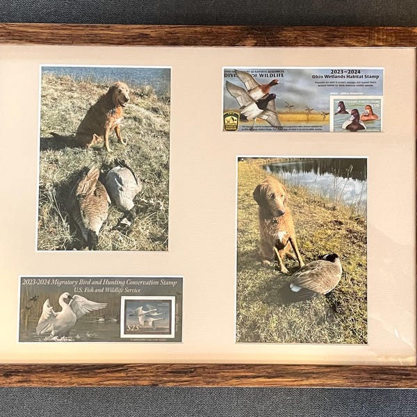 Custom Multi-opening Single Mat for Picture Frames - Etsy