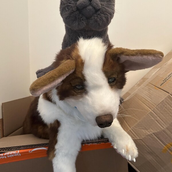 Custom Realistic Fox Plush. Art Doll Animal. Pose Fox. Fox Art Doll ...