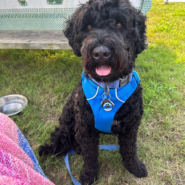 Personalized Birth Flower Metal Bookmark, Thoughtful Birthday Bookworm ...