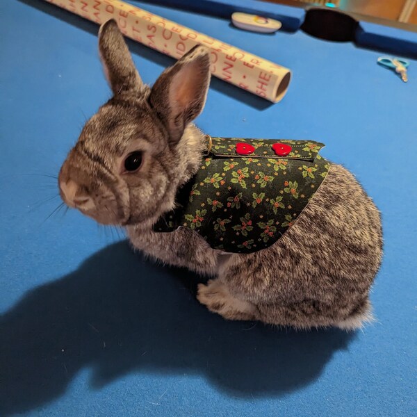 Autumn Ginkgo Wool Short Dress, Pet Bunny Dress/harness, Rabbit ...