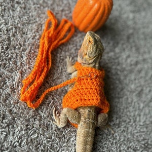Bearded Dragon Candy Corn Costume Sweater, Halloween Lizard Sweater ...