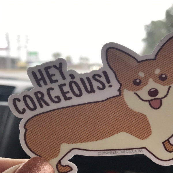 Funny Corgi Vinyl Sticker "hey Corgeous!" - Cute Corgi Vinyl Decal ...