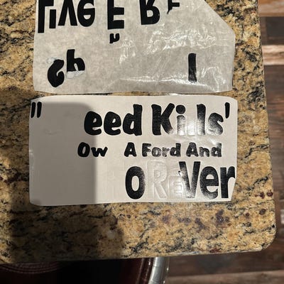 Flaming Ford Logo Decals Set of 2 Each Right Left Ford Logo Flame ...