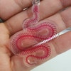 Diaphonized Snake Clear Acrylic Earrings / Wet Specimen Taxidermy ...