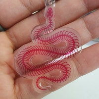 Diaphonized Snake Clear Acrylic Earrings / Wet Specimen Taxidermy ...