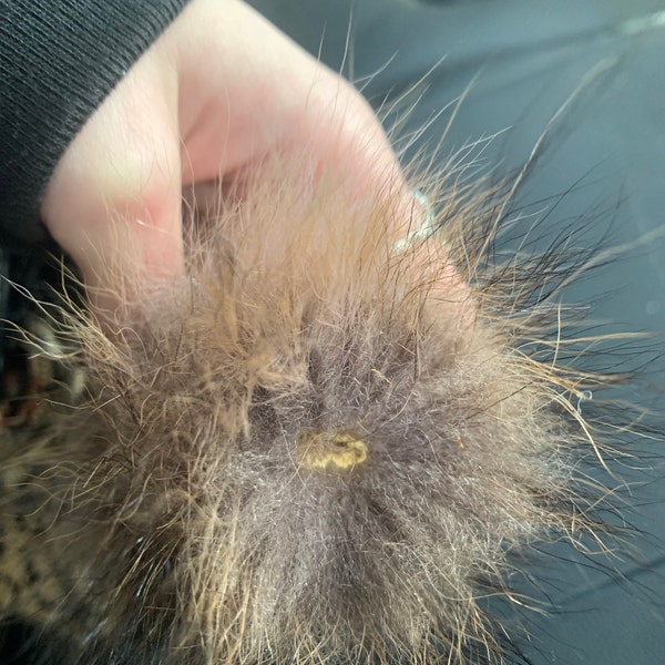 Tanned Red Fox Professional Soft Tanned Silky Fur. Eastern Red Fox - Etsy