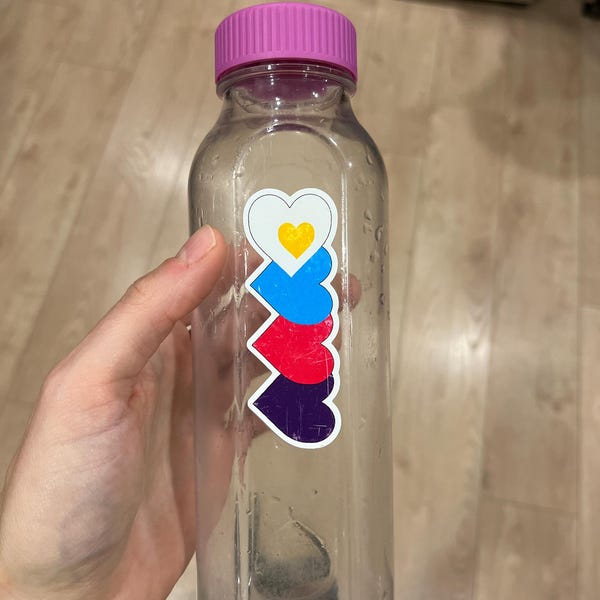 DIGITAL FILE: Printable Extended Pride Flag Reference Guide Includes ...