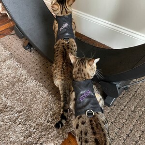 Safetykatz Walking Jacket Red Custom Made Cat Reversible - Etsy