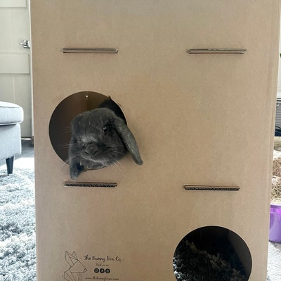 The Castle Corrugated Cardboard Castle for Bunny Rabbits & Cats - Etsy UK