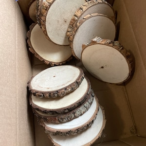 Set of 3 Southern Pine Wood Rounds - Etsy