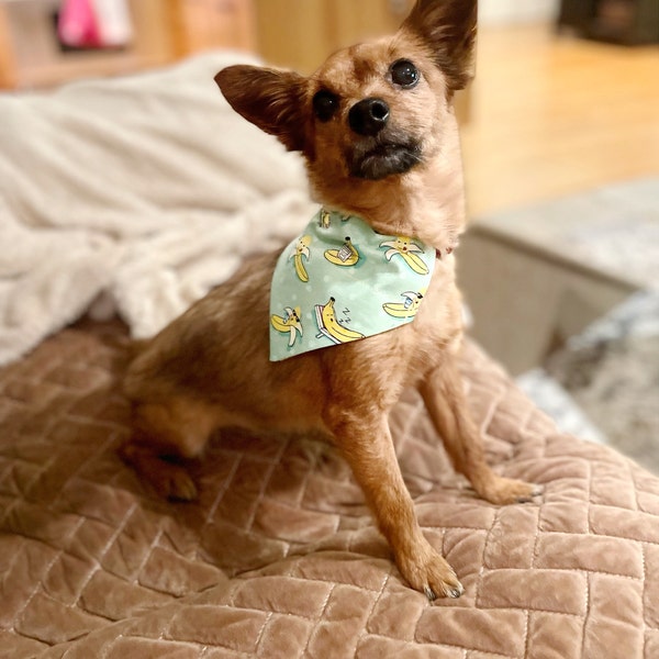 Spiderman Dog and Cat Bandana With Optional Personalization, Matching ...