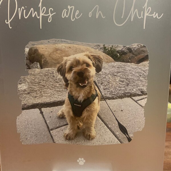 BEST SELLER Open Bar Pet Drink Acrylic Wedding Sign for Bar, Signature ...