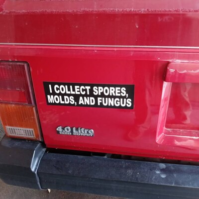 Funny i Collect Spores, Molds, and Fungus BUMPER STICKER, Weird Decal ...