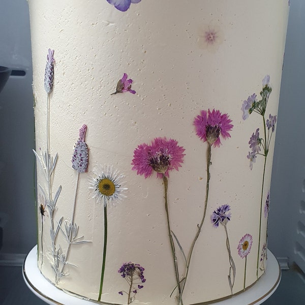 120 Edible Pressed Flowers, Pastel Cupcake Blend, Organic Foodsafe Chem ...