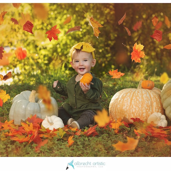 100 Autumn Leaves Overlays, Photoshop Overlay, Falling Effect, Fall ...