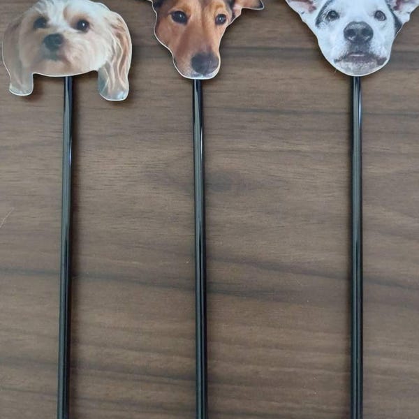 Custom Graduation Face Drink Stirrers, Graduation Party Decor, 2025 ...