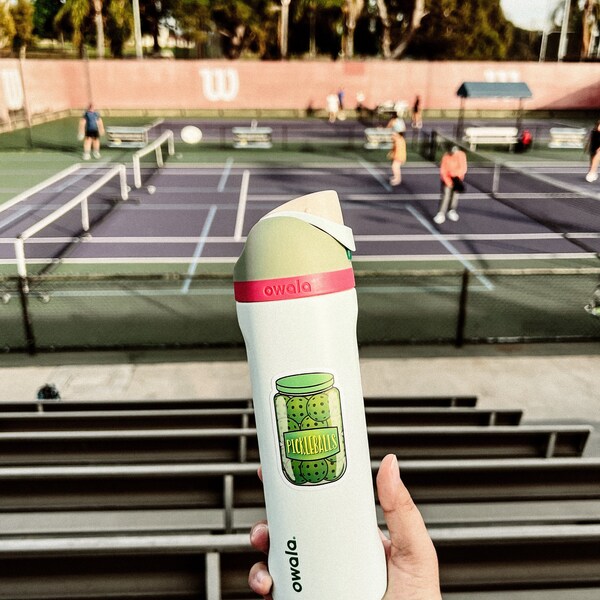 Pickleball Sticker - "pickleball Hearts", Pickleball Sticker ...