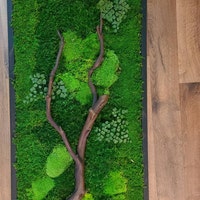 Modern Wave Preserved Moss Wall Art: Shou Sugi Ban Frame - Etsy