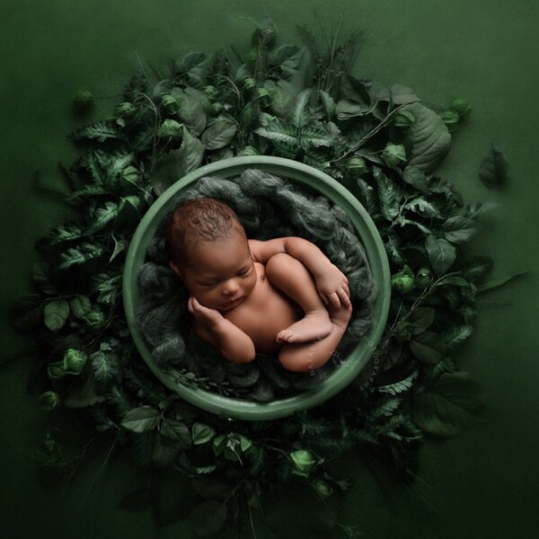 Newborn Photography Digital Backdrop, Foresty Dream Baby Nest, Dark ...
