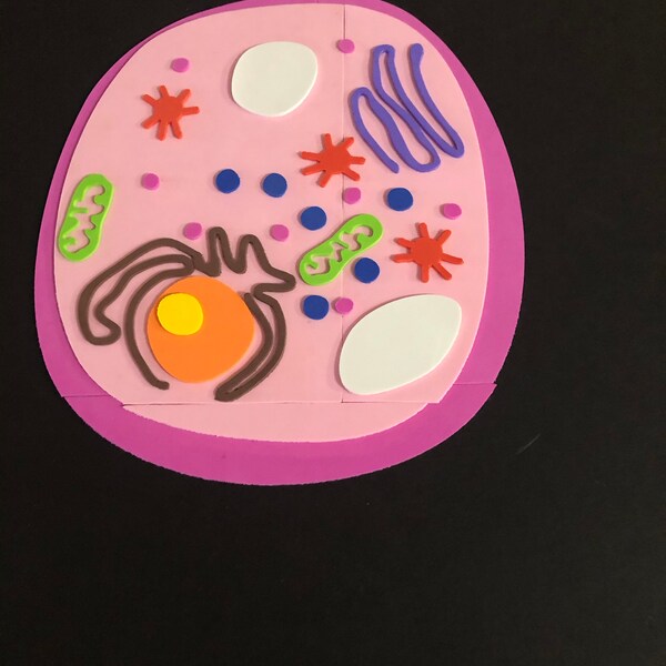 Animal Cell SVG and PDF Printable a Homeschool or Classroom Science ...